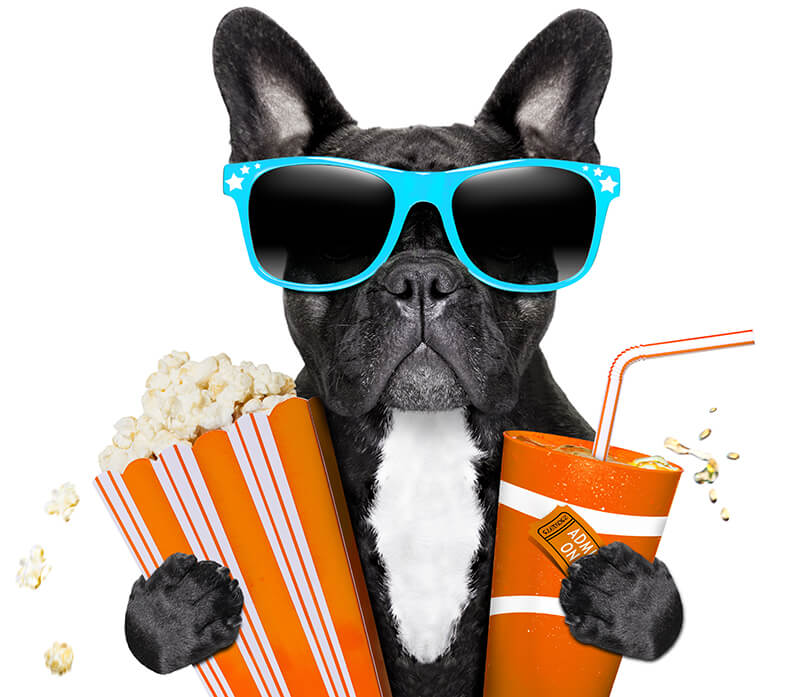 highach – TASK SLAYER®